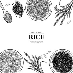 Frame with rice hand drawn vintage style Vector Image