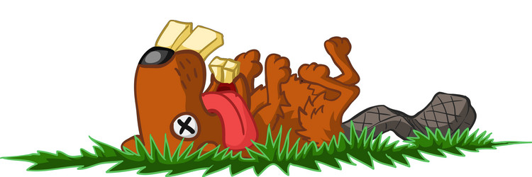 Roadkill Vector Images (50)