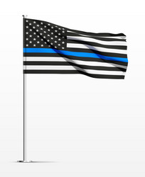 American flag with police blue line Royalty Free Vector
