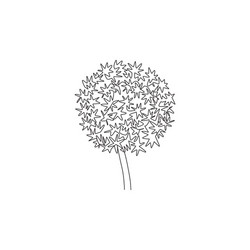 Single one line drawing beauty fresh allium Vector Image