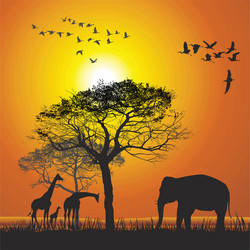 Safari Tree Vector Images (over 16,000)