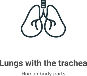 Trachea Vector Images (over 5,900)