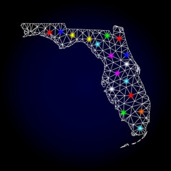Polygonal network mesh map florida state Vector Image