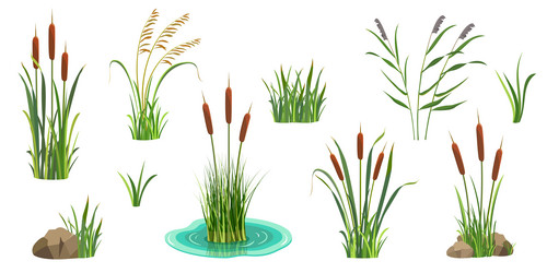 Marsh Vector Images (over 3,900)