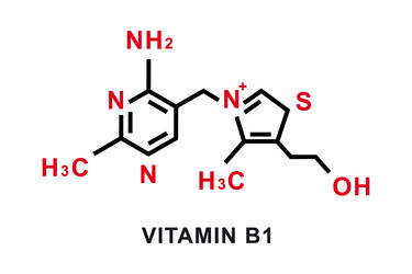 Main food sources vitamin b1 healthy Royalty Free Vector
