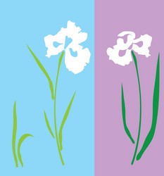 Iris Vector Images (over 20,000)