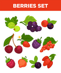 Berries set 3 Royalty Free Vector Image - VectorStock