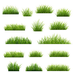 Grass and bricks Royalty Free Vector Image - VectorStock