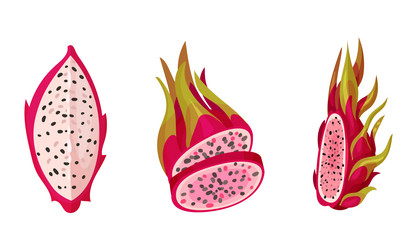 Pitaya Vector Images (over 2,200)