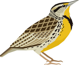 Lark Cartoon Vector Images (32)