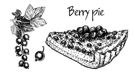 Black and white hand drawn piece pie decorated Vector Image