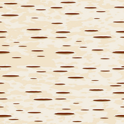 Birch barck texture Royalty Free Vector Image - VectorStock
