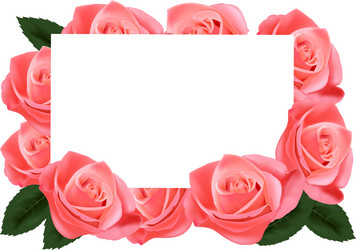 Pink roses and card Royalty Free Vector Image - VectorStock
