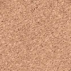 Cork Tree Vector Images (over 1,000)