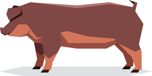 Duroc Pig Animal Vector Images (40)