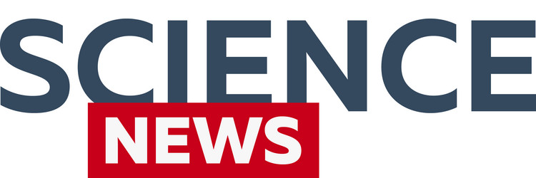 Mass media sports news logo for television studio Vector Image