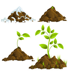 Growing plant steps set Royalty Free Vector Image