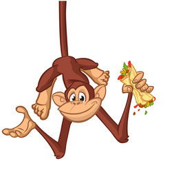 Cartoon funny monkey chimpanzee holding falafel Vector Image