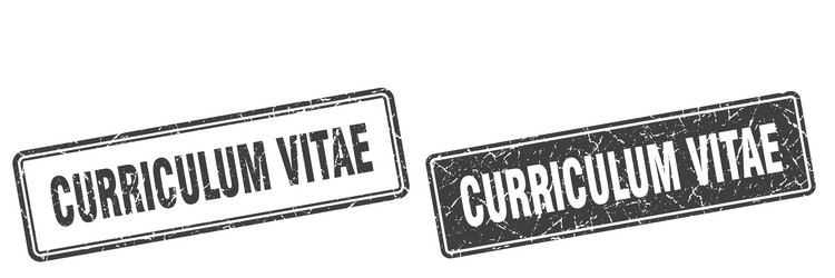 Curriculum vitae stamp Royalty Free Vector Image
