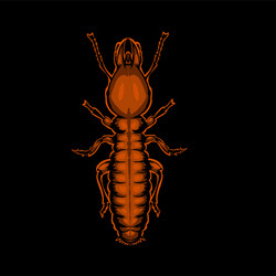 Termite Vector Images (over 2,300)
