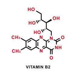 Chemical formula riboflavin vitamin b2 diagram Vector Image