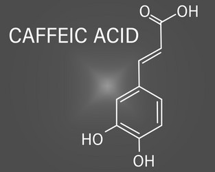 Caffeic acid molecule skeletal chemical formula Vector Image