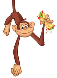 Cartoon funny monkey chimpanzee holding falafel Vector Image