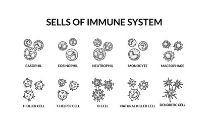 Dendritic Cell Immune Vector Images (57)