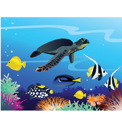 Green sea turtle life cycle Royalty Free Vector Image