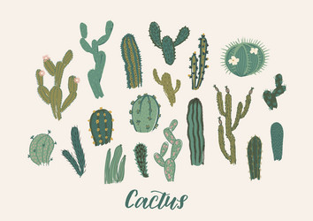 Mexico cactus plants wild cacti collection Vector Image
