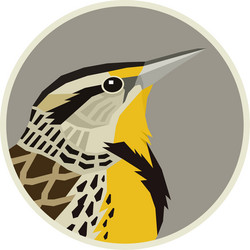 Lark Cartoon Vector Images (32)