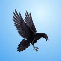 Raven Vector Images (over 8,200)