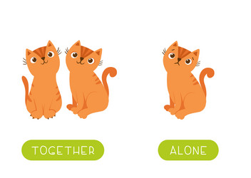 Cat Flashcards for Children Vector Images (91)