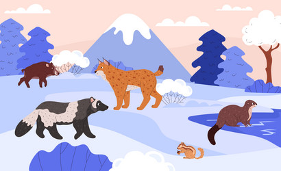 Taiga wild animals educational poster with titles Vector Image