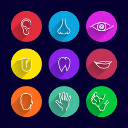 Human Body Parts Vector Images (over 21,000)