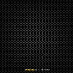 Metallic mesh Royalty Free Vector Image - VectorStock