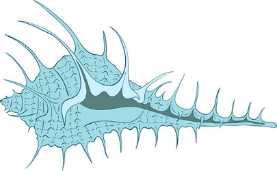 Seashell Shell Helix Vector Images (over 180)