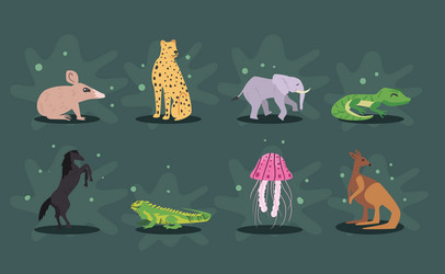 Eight Animals Vector Images (over 990)