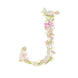 Letter f Royalty Free Vector Image - VectorStock