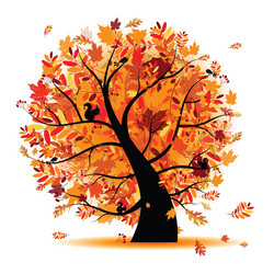 Beautiful autumn tree Royalty Free Vector Image