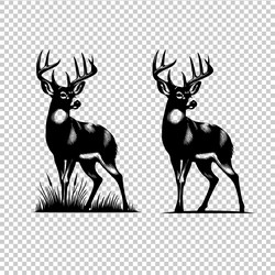 Whitetail deer Royalty Free Vector Image - VectorStock