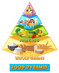 Cartoon food pyramid infographic a visual guide Vector Image