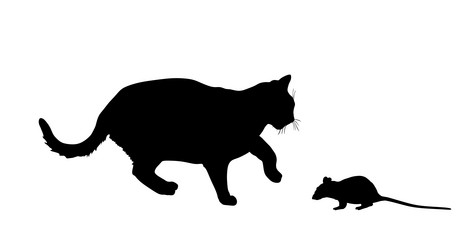 Cat Chasing Mouse Vector Images (52)