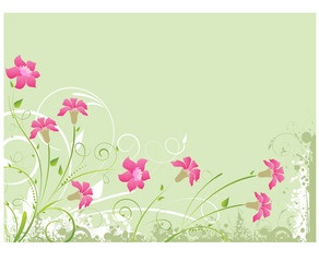 Floral corner Royalty Free Vector Image - VectorStock