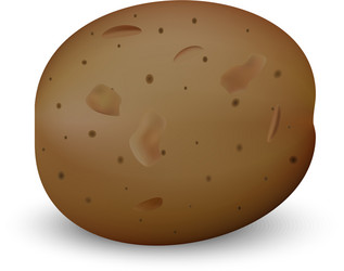 Half cut potato mockup realistic style Royalty Free Vector