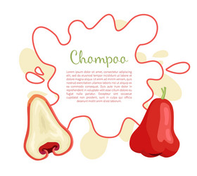 Champoo exotic juicy fruit isolated java Vector Image