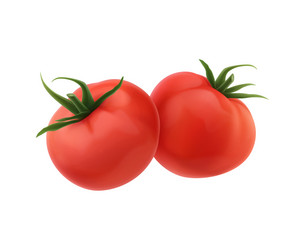 Realistic tomato Royalty Free Vector Image - VectorStock