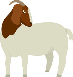 Boer Goat Head Vector