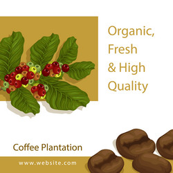 Flat design coffee plantation posts Royalty Free Vector