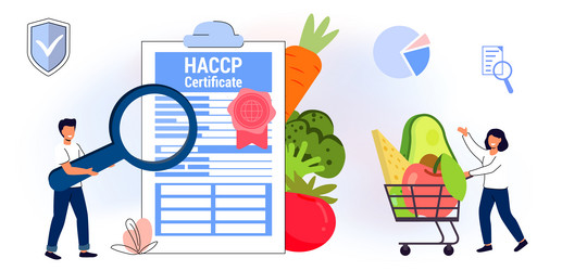 Haccp hazard analysis critical control point food Vector Image